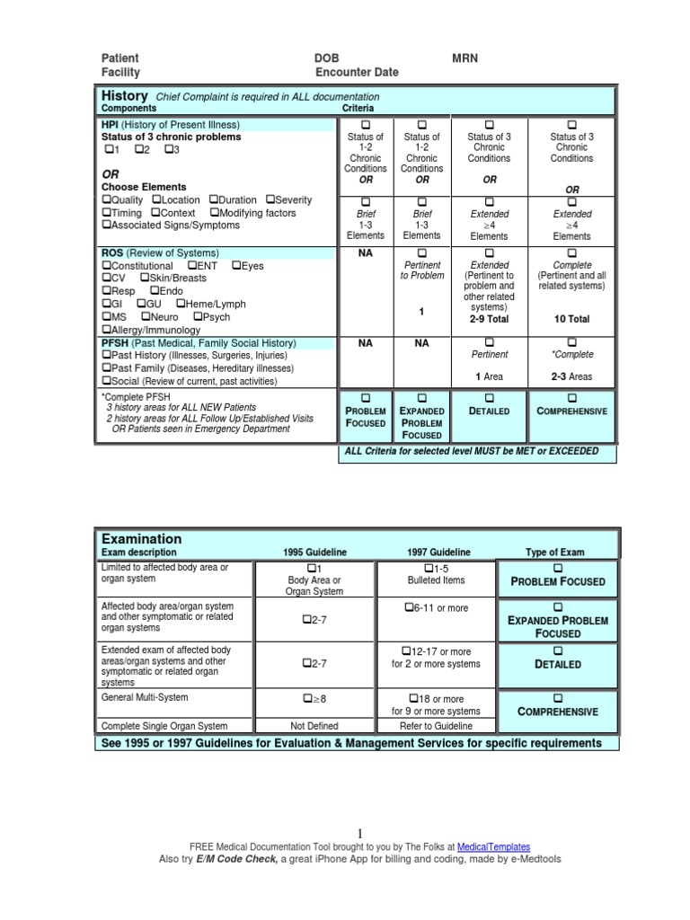 E and M Documentation and Coding Worksheet E M Audit Worksheet PDF ...