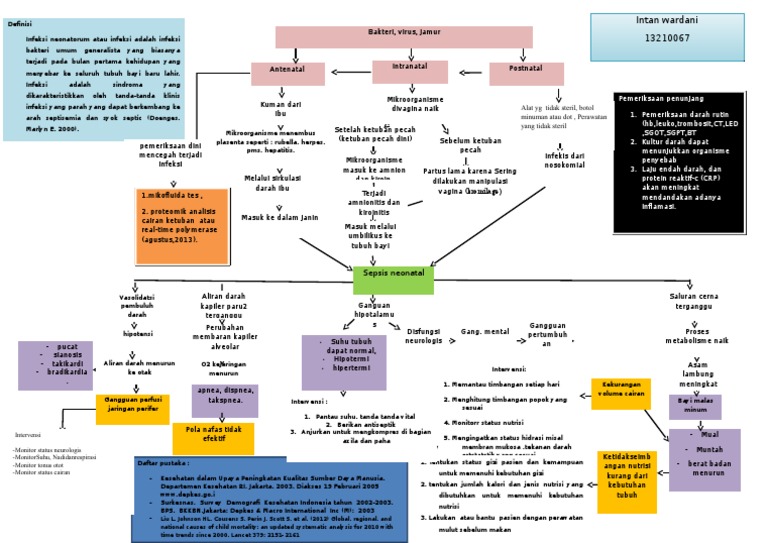 WOC Infeksi Neonatal | PDF