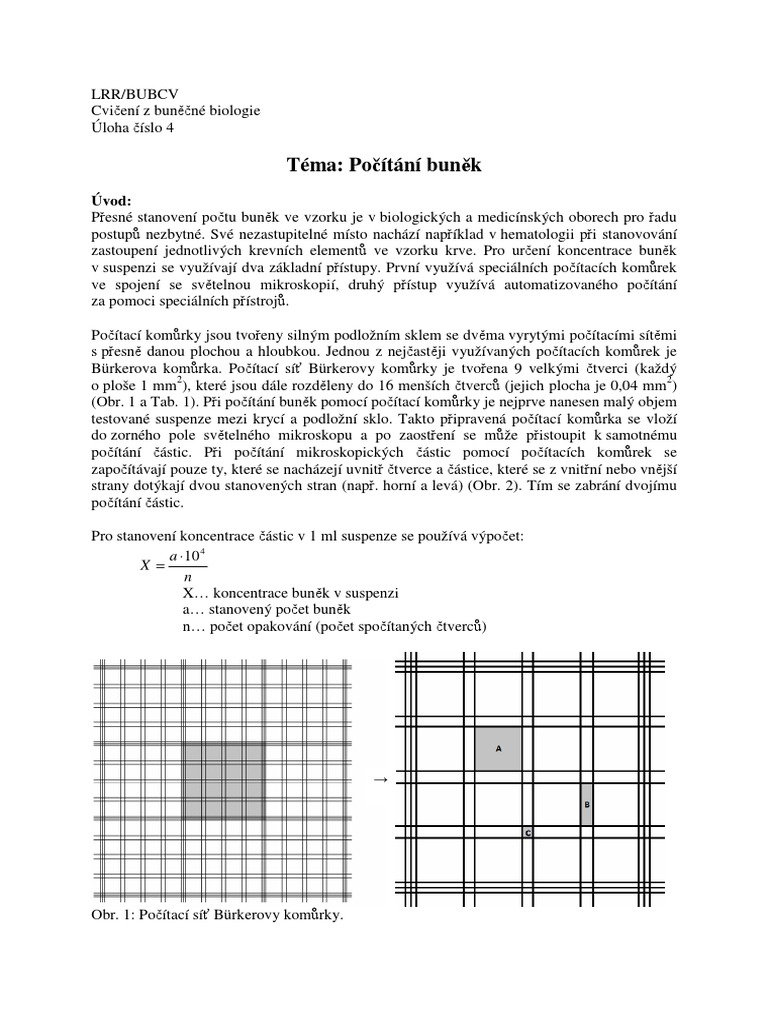 Pocitani Bunek | PDF