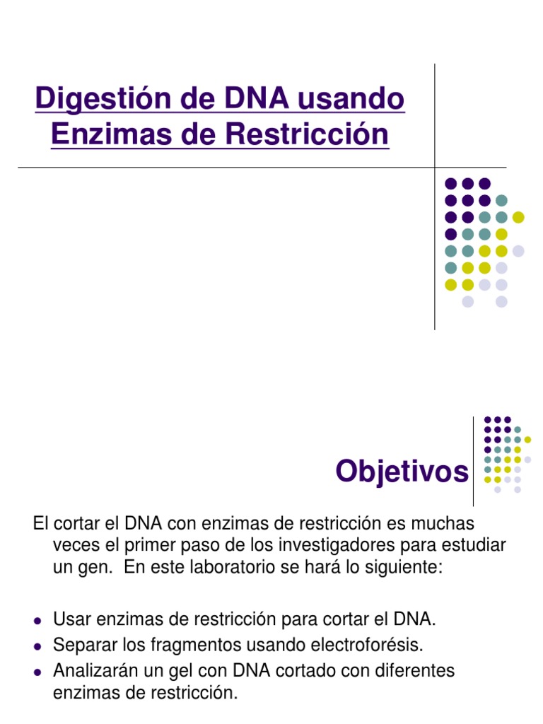 Digestion DNA | PDF | Salud y bienestar | Tecnología