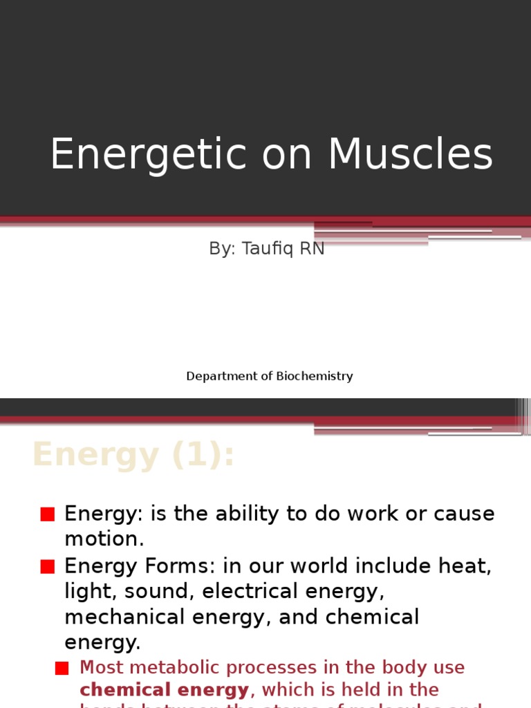 Energy Metabolism in Muscle | PDF