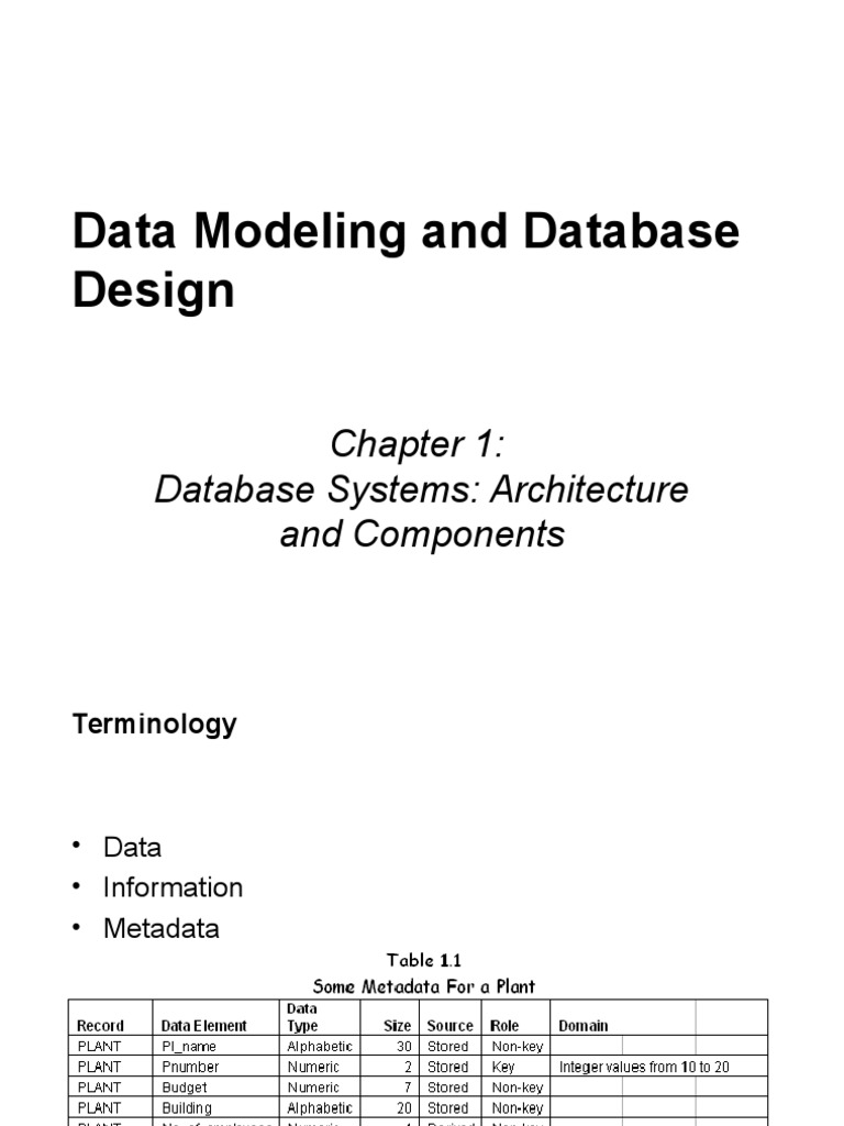 Data Modeling and Database Design | Download Free PDF | Conceptual Model | Databases