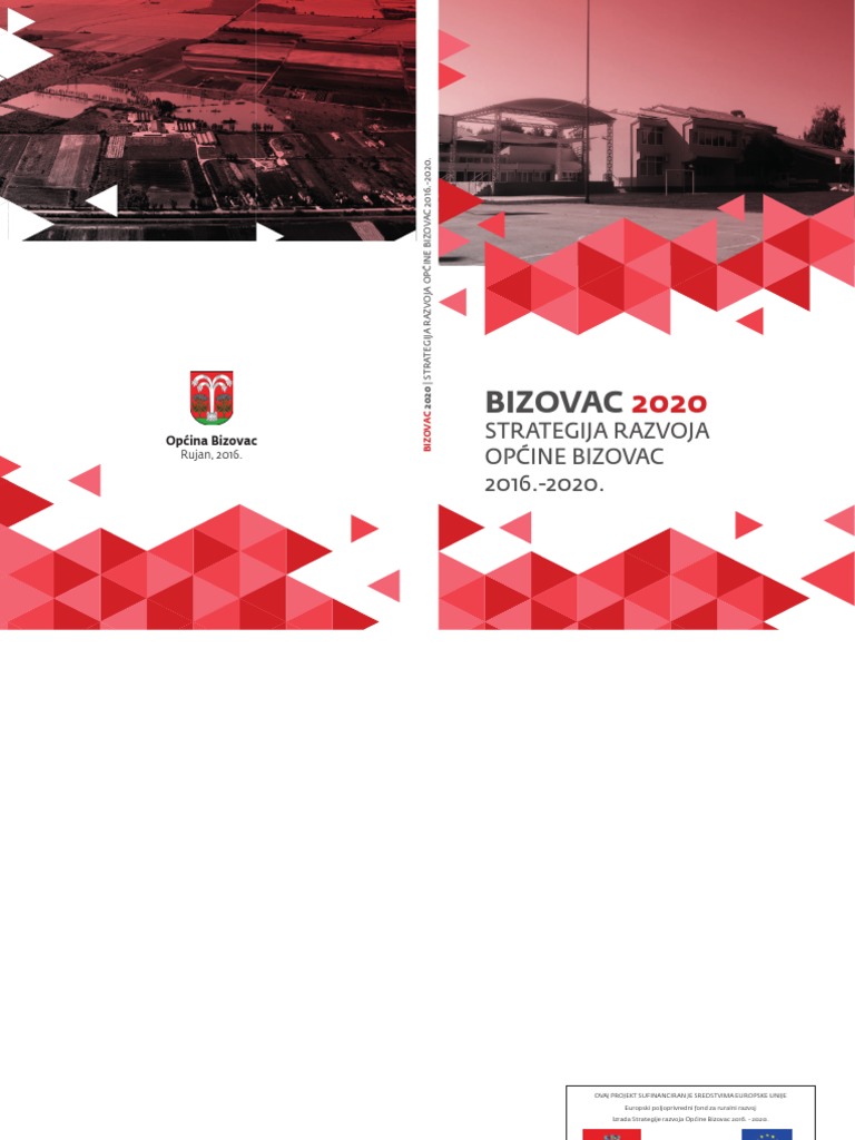 Strategija Razvoja 2020 | PDF
