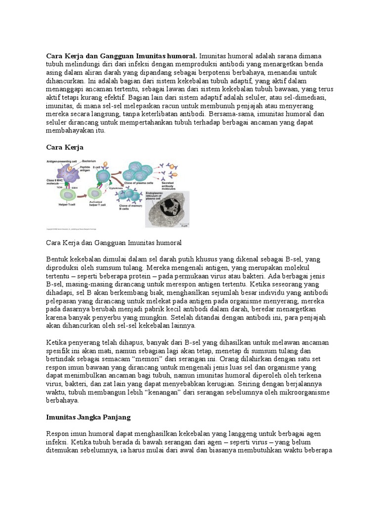 Imunitas Humoral: Cara Kerja dan Gangguan | PDF