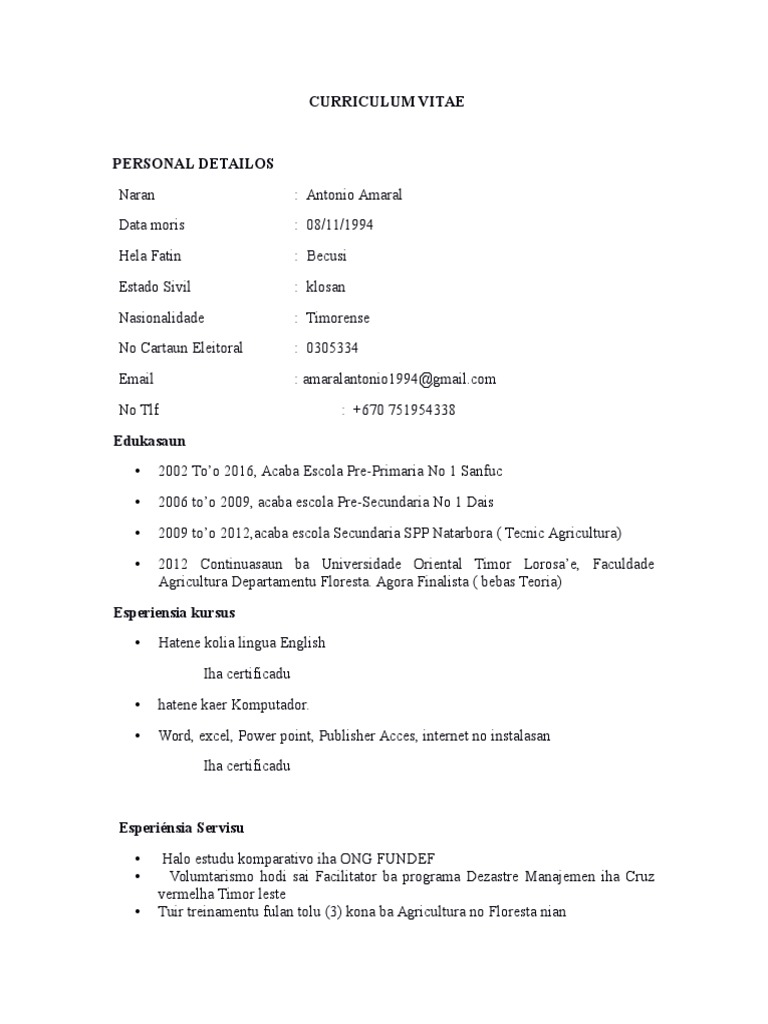 CV Toyyyy Tetun | PDF