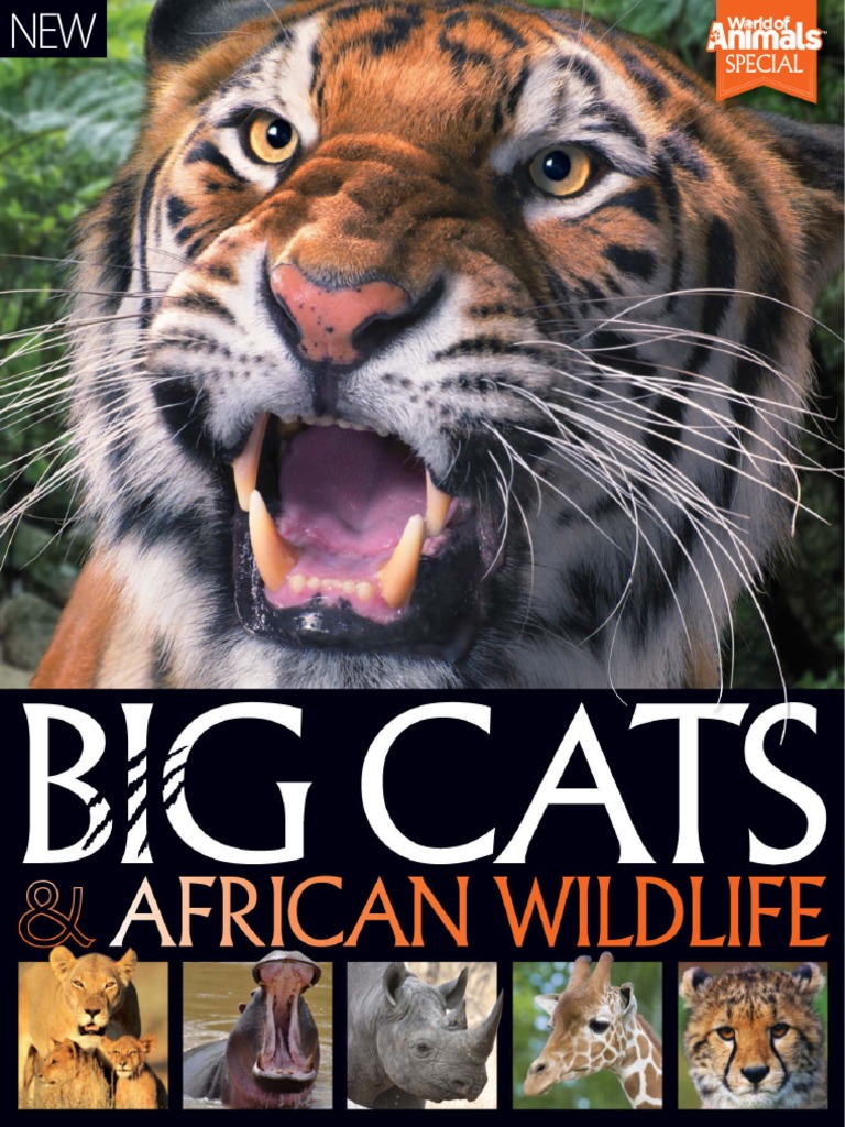 World of Animals Book of Big Cats and African Wildlife 2nd Edition ...