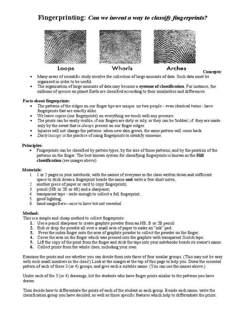 Classifying Fingerprints - Worksheet | PDF