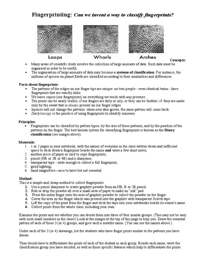 Classification of Fingerprints - Worksheet | PDF