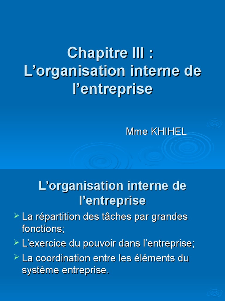 EOE Chapitre III L'Organisation Interne de L'entreprise | PDF | Sodles ...