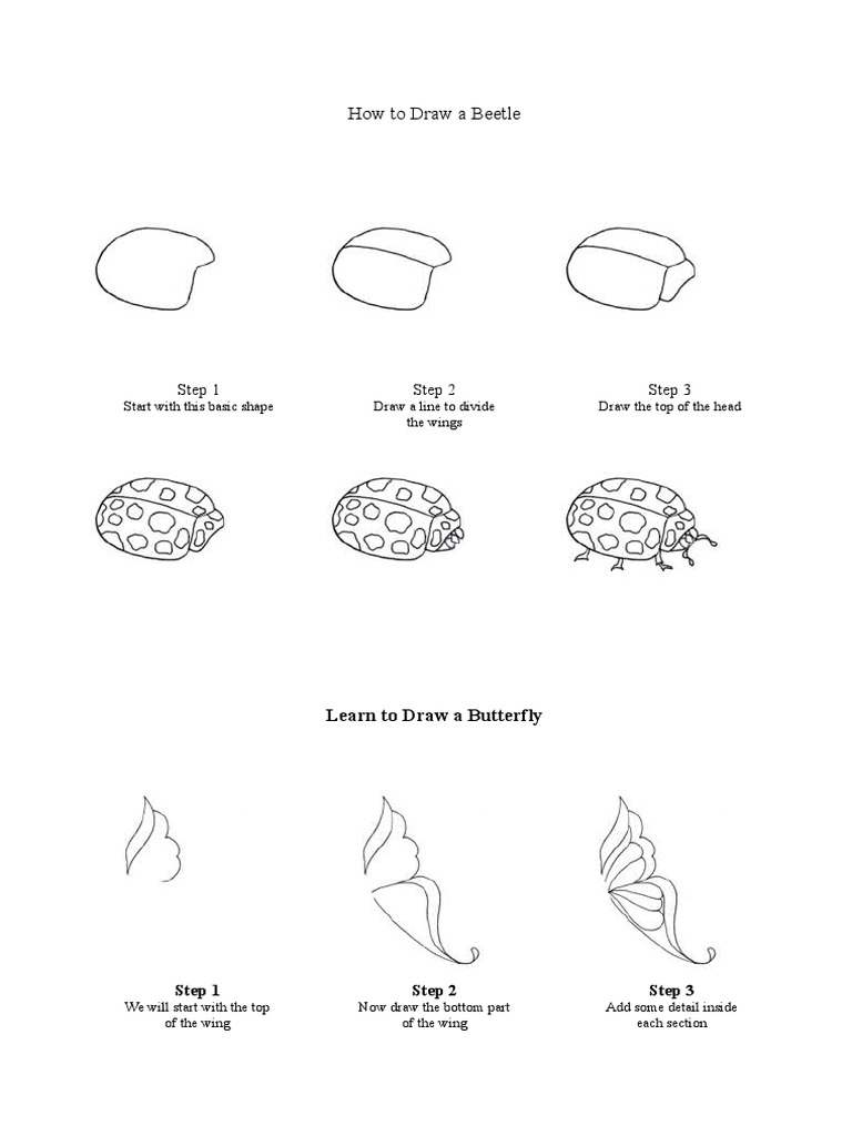 How To Draw A Beetle: Step 1 Step 2 Step 3 | PDF