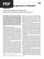 Quantiswab Environmental Swab Brochure | PDF