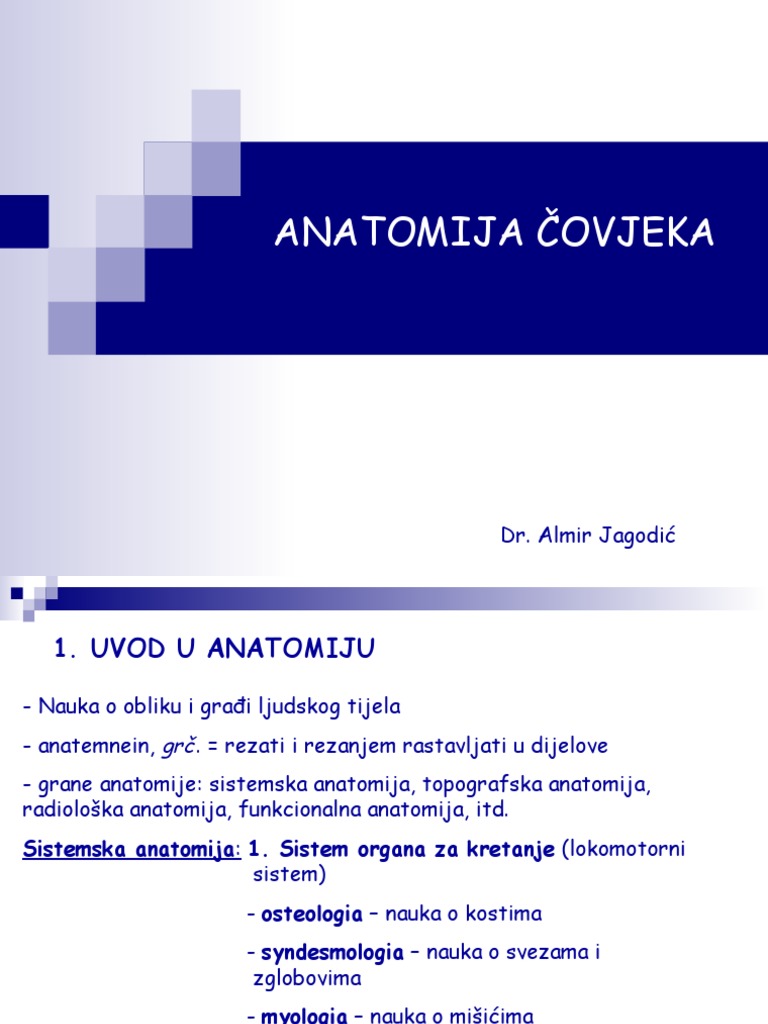 Uvod U Anatomiju, Osteologia - Kosti Glave | PDF