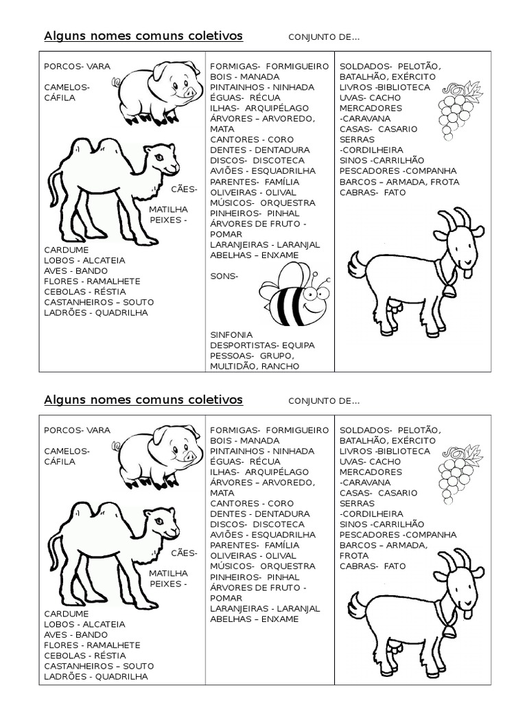 Alguns Nomes Comuns Coletivos CONJUNTO De