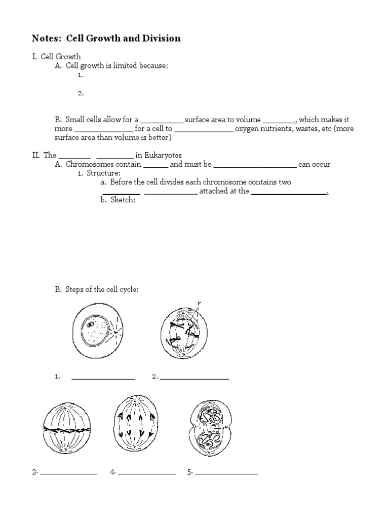 Notes Cellgrowthdivision Blanks | PDF