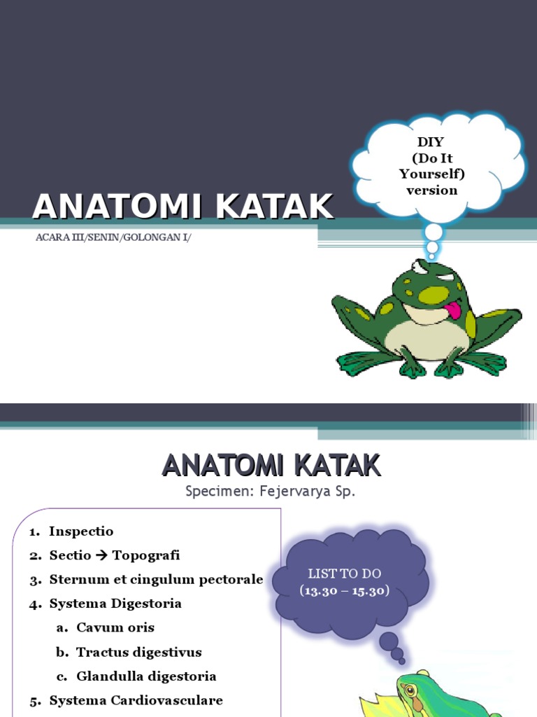 Anatomi Katak | PDF