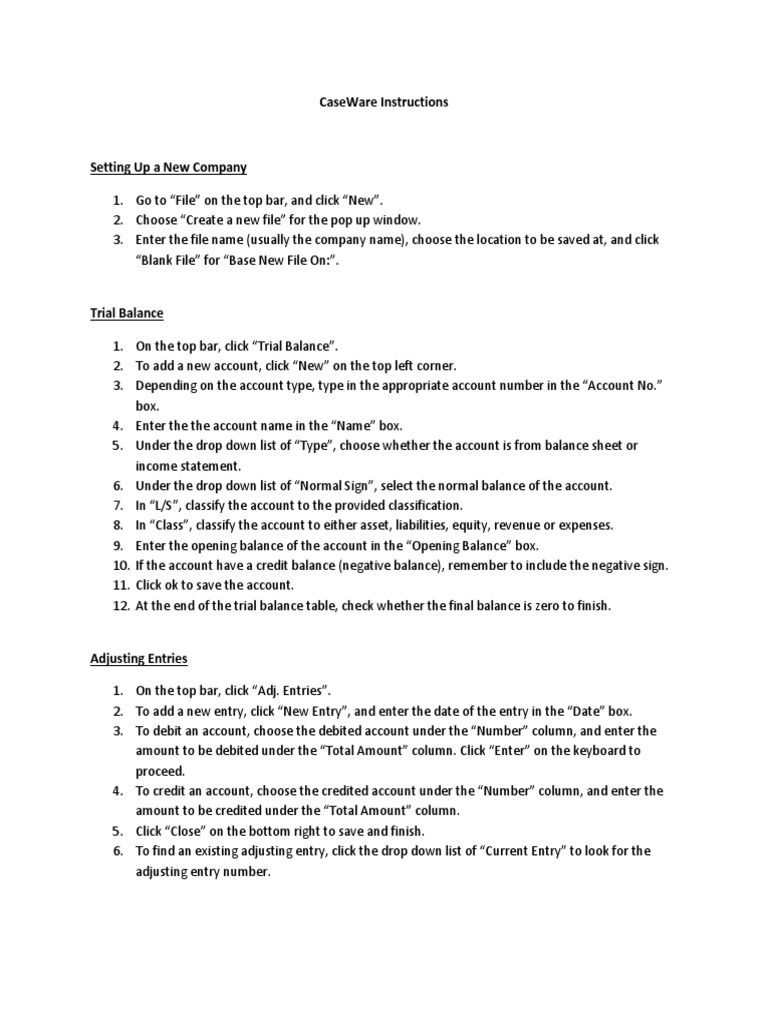 Caseware Instructions | PDF