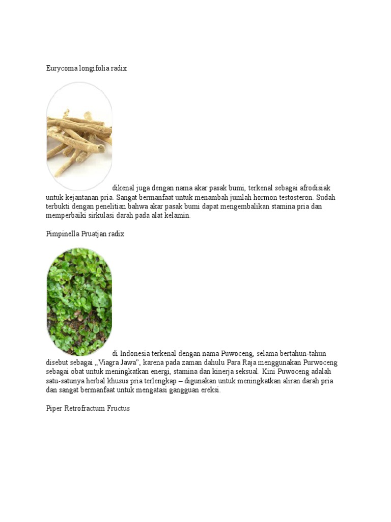 Eurycoma Longifolia Radix | PDF