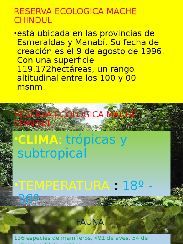 Reserva Ecologica Mache Chindul Kathuu | PDF | Naturaleza