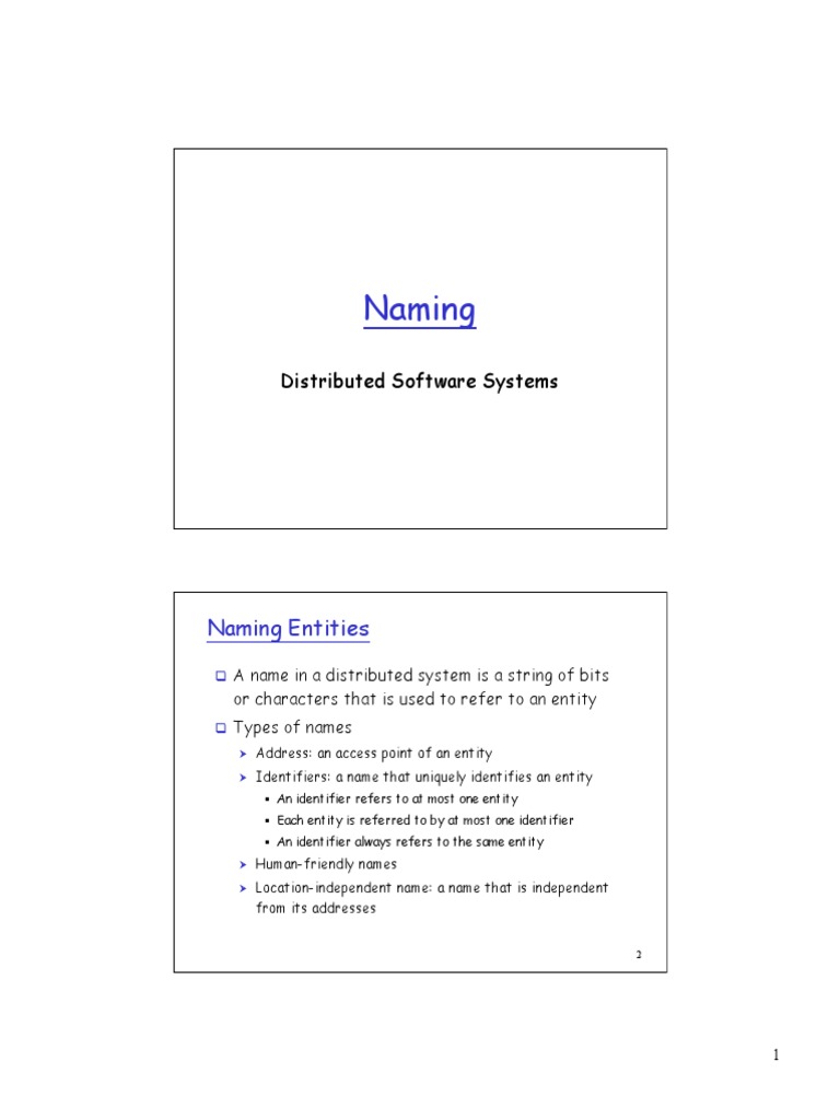 Naming Entities | PDF | Domain Name System | Osi Protocols