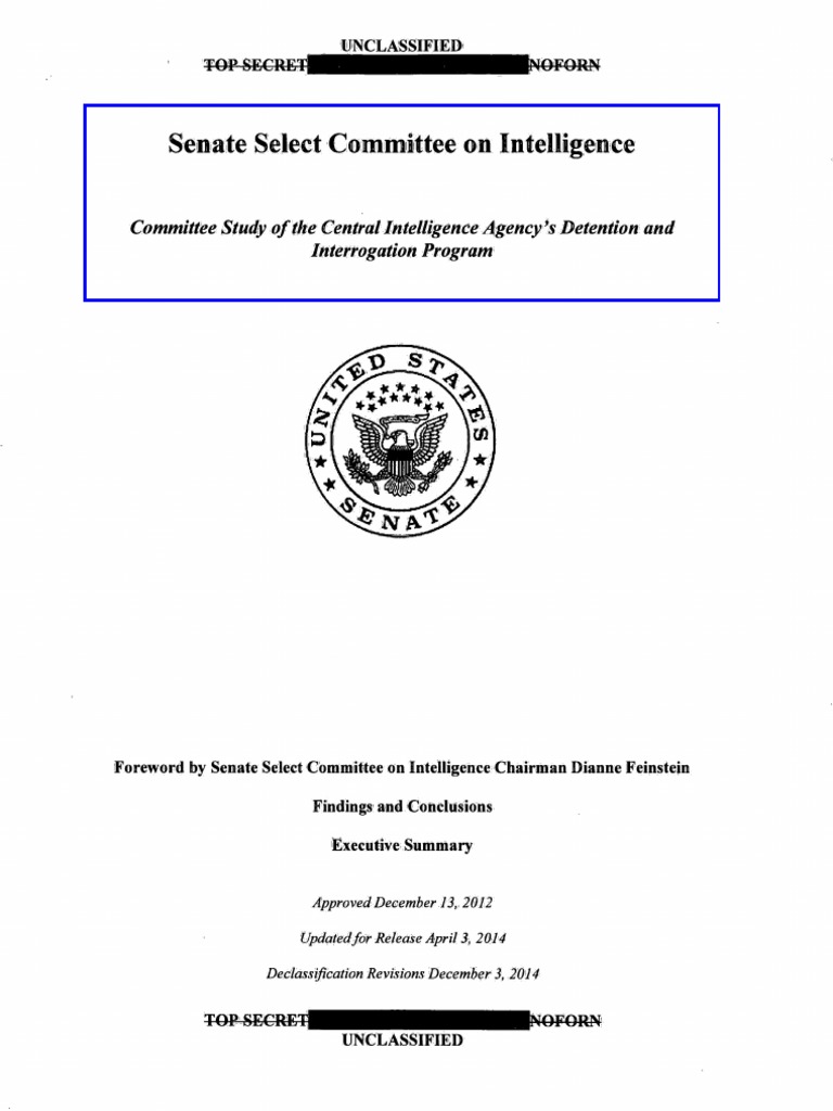 CIA Interrogation Program | PDF | Enhanced Interrogation Techniques ...