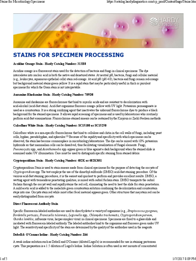Stains For Microbiology Specimens | PDF | Staining | Immunohistochemistry