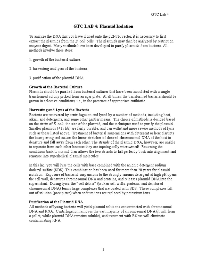 Mini Prep | PDF | Plasmid | Molecular Cloning