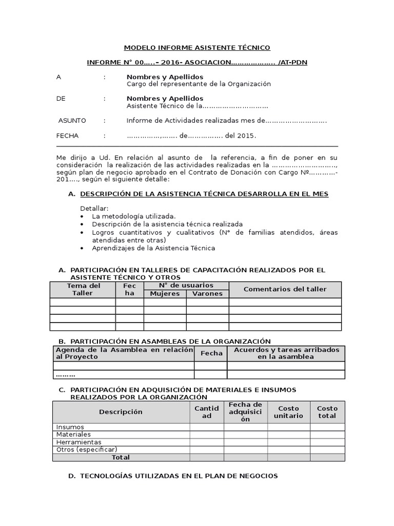 Modelo de Informe de Asistente Técnico | PDF | Informática y tecnología de la información | Science
