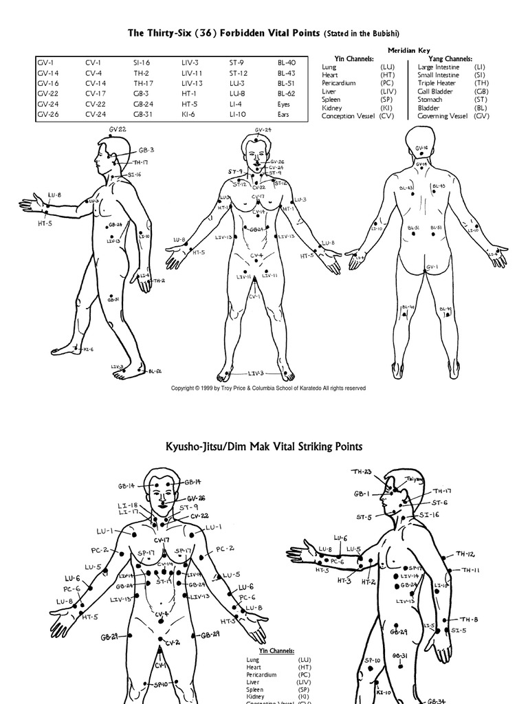 Vital Points Meridians | PDF | Meridian (Chinese Medicine) | Human Anatomy
