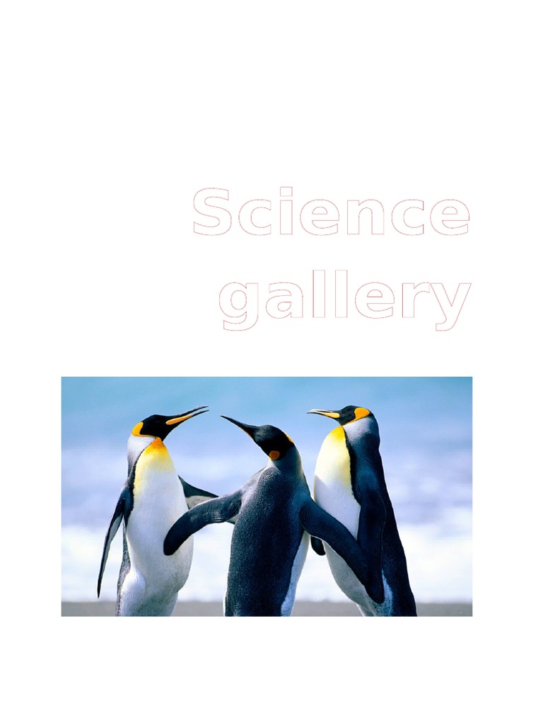 Science Galery | PDF