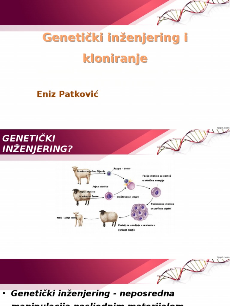 Geneticki Inzenjering | PDF