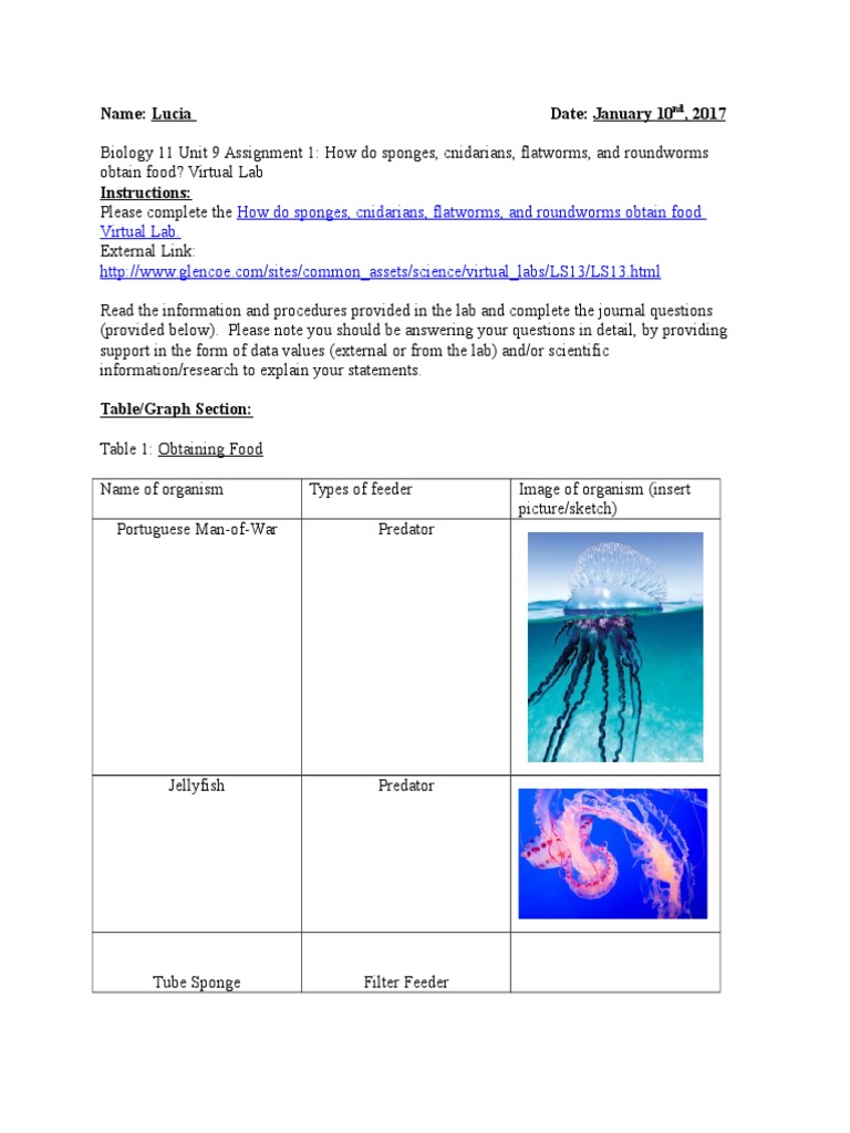 Biology 11 Unit 9 Assignment 1 How Do Sponges Cnidarians Flatworms and ...