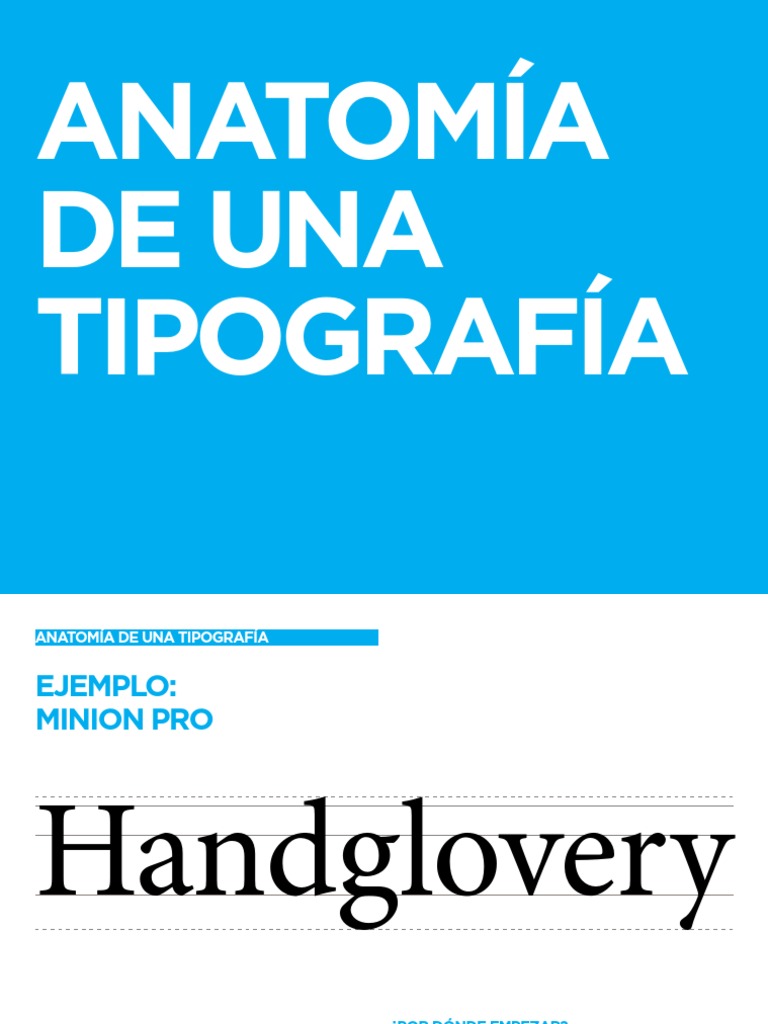 Tipo Anatomia | PDF | Serif | Tipografía