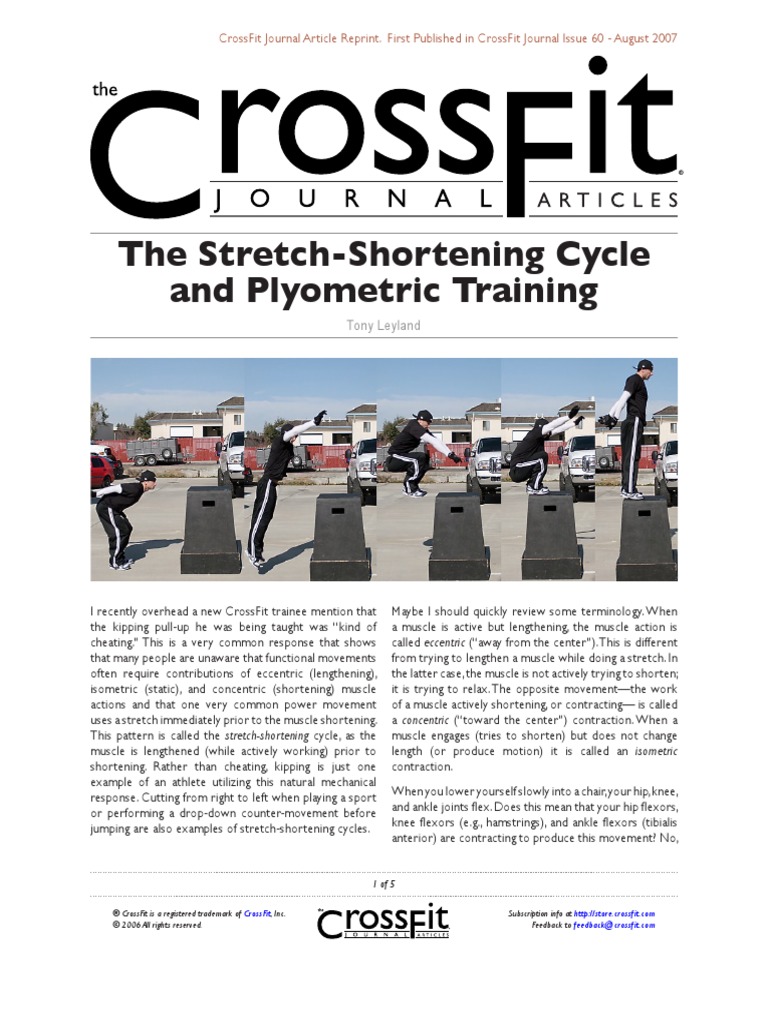 The Stretch-Shortening Cycle and Plyometric Training | PDF | Muscle ...