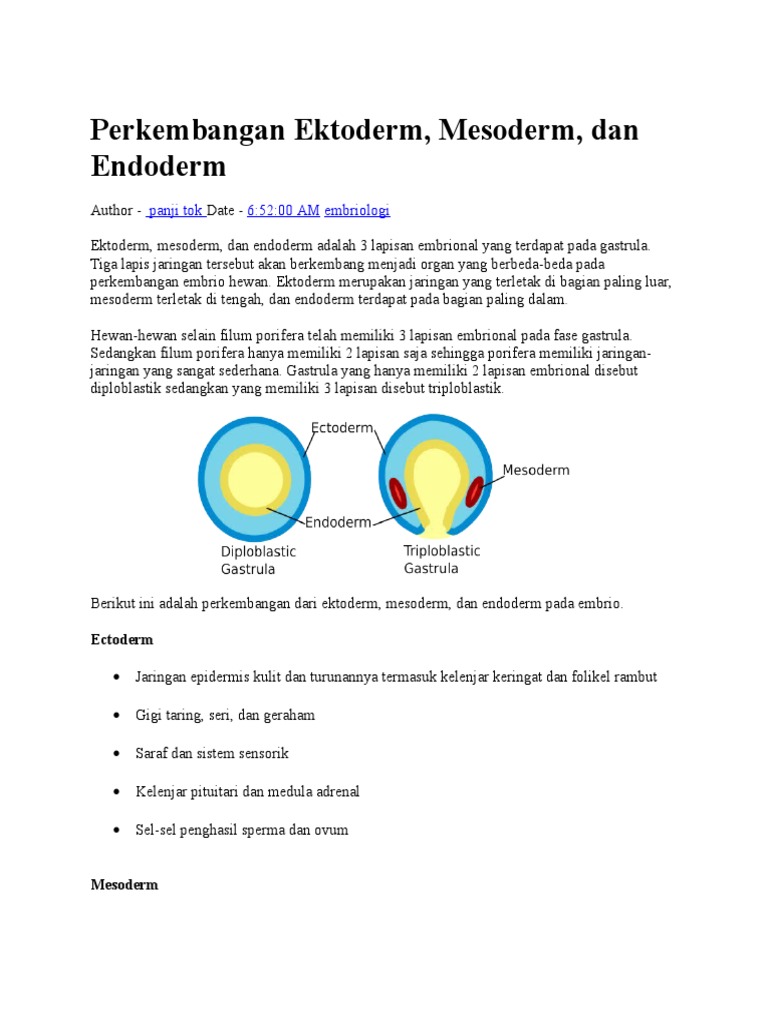 Perkembangan Ektoderm | PDF