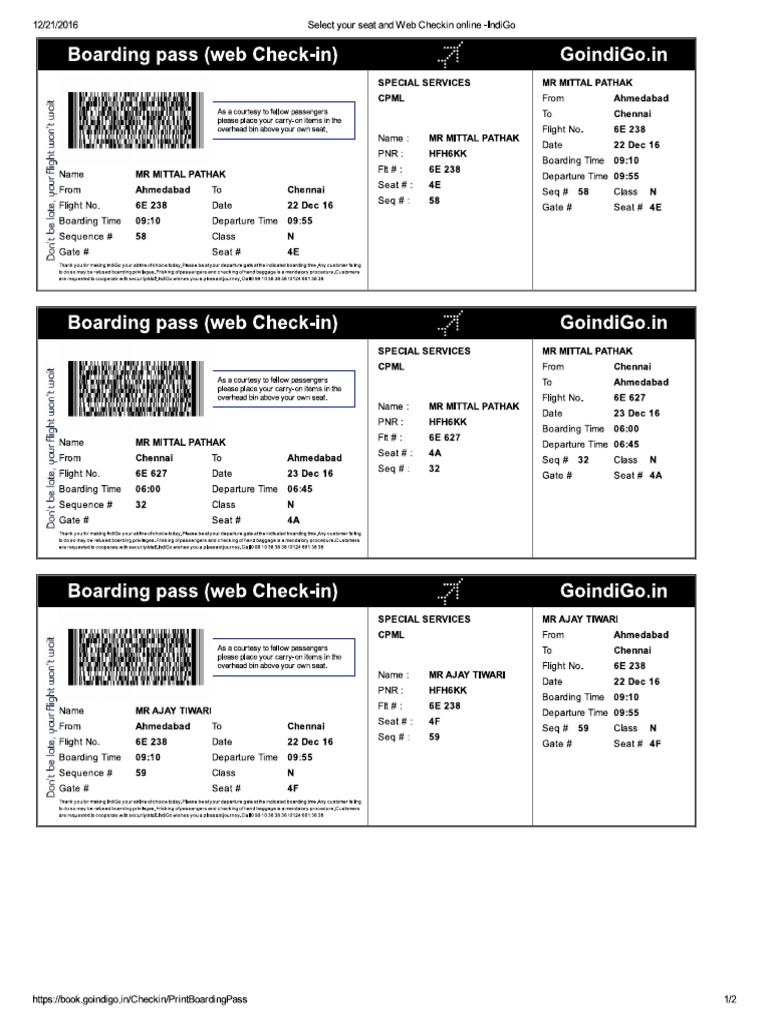 Indigo Ticket | PDF