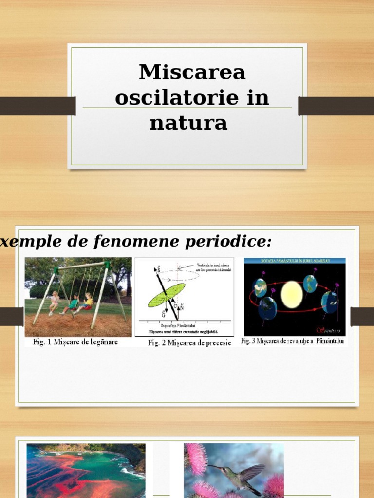Miscarea Oscilatorie in Natura | PDF