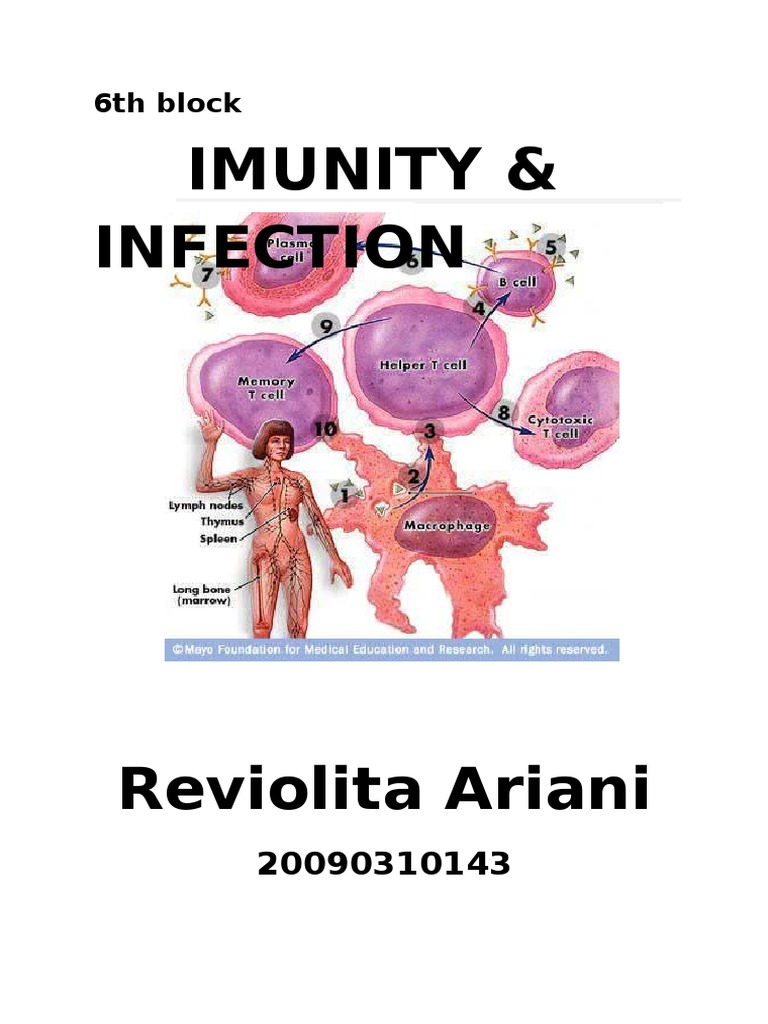 Imunity & Infection: 6th Block | PDF