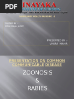 Rabies Presentation | PDF | Rabies | Health Care