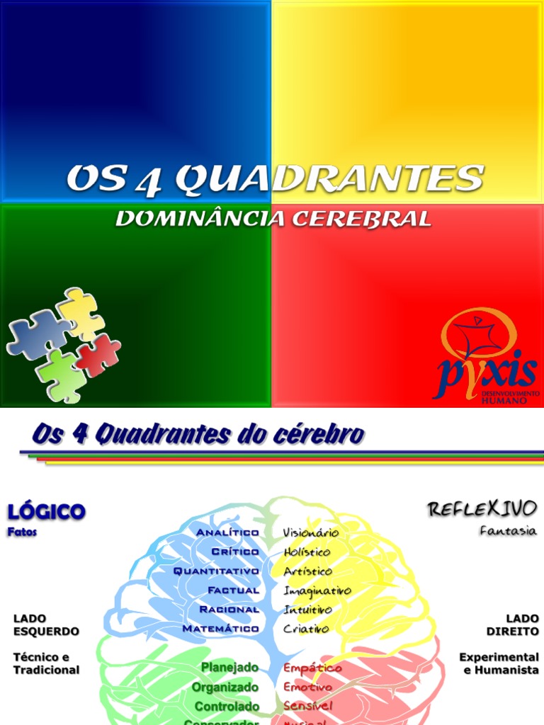 Apresentação Os 4 Quadrantes | PDF