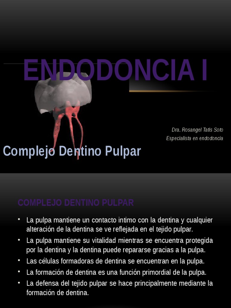 Complejo Dentino Pulpar 1 | PDF | Dentina | Diente humano