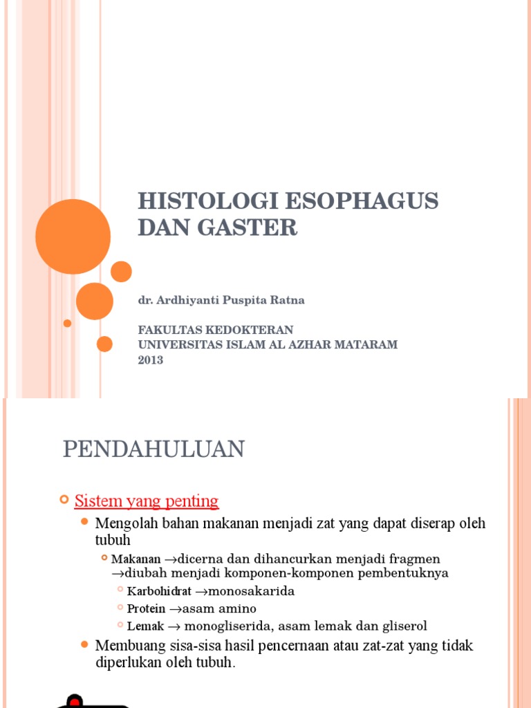 Histologi Esofagus dan Gaster | PDF | Griya & Taman | Kesehatan Holistik