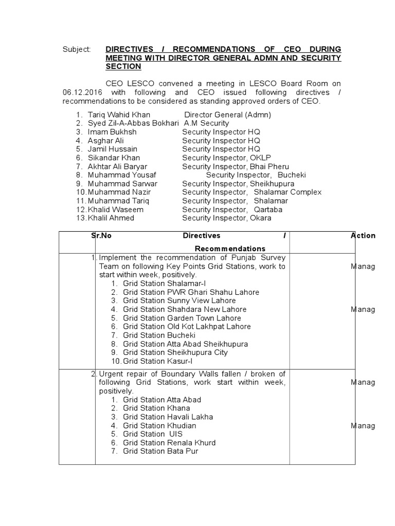 Directives / Recommendations of Ceo During Meeting With Director ...