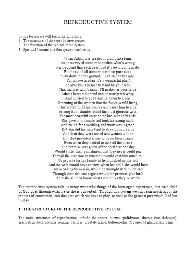 The Structure of The Reproductive System | PDF | Ovary | Vagina