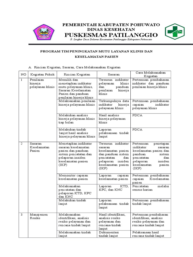 PROGRAM PENINGKATAN MUTU PELAYANAN KESEHATAN | PDF