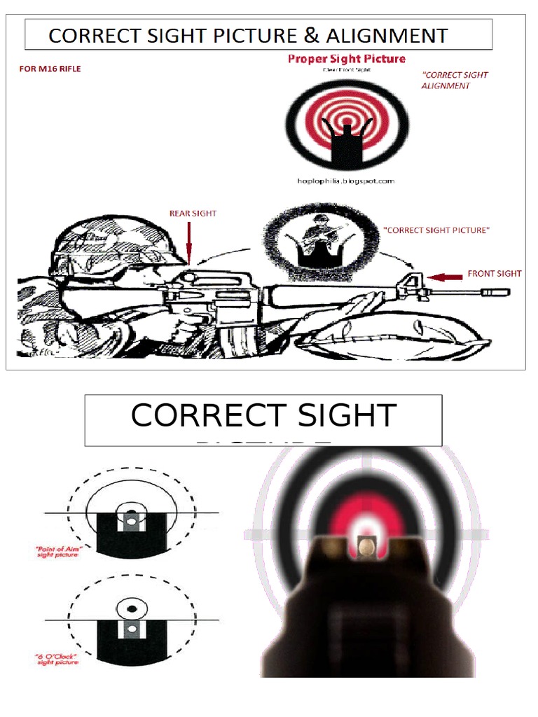Correct Sight Picture | PDF