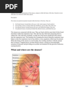 Medical Rebus Puzzles | PDF