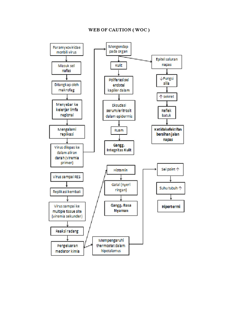 Web of Caution (Woc) | PDF