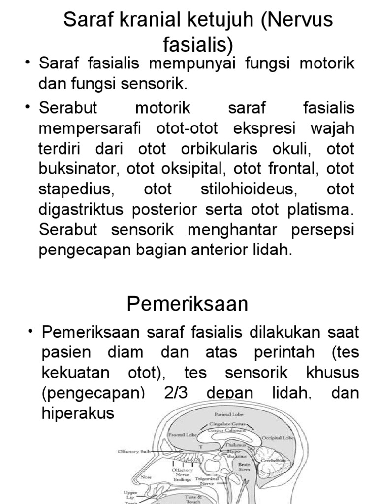 Saraf Cranial 7-12 | PDF