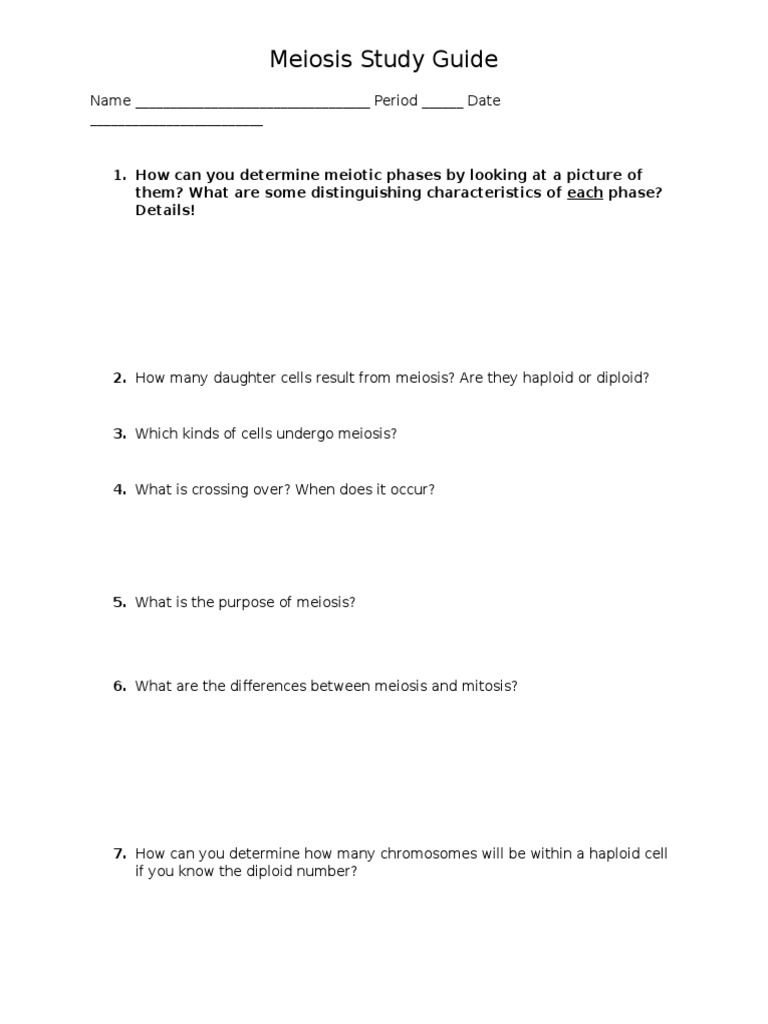 Meiosis Study Guide | PDF