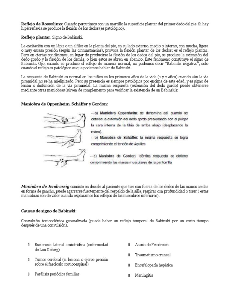 Reflejos Patologicos | PDF